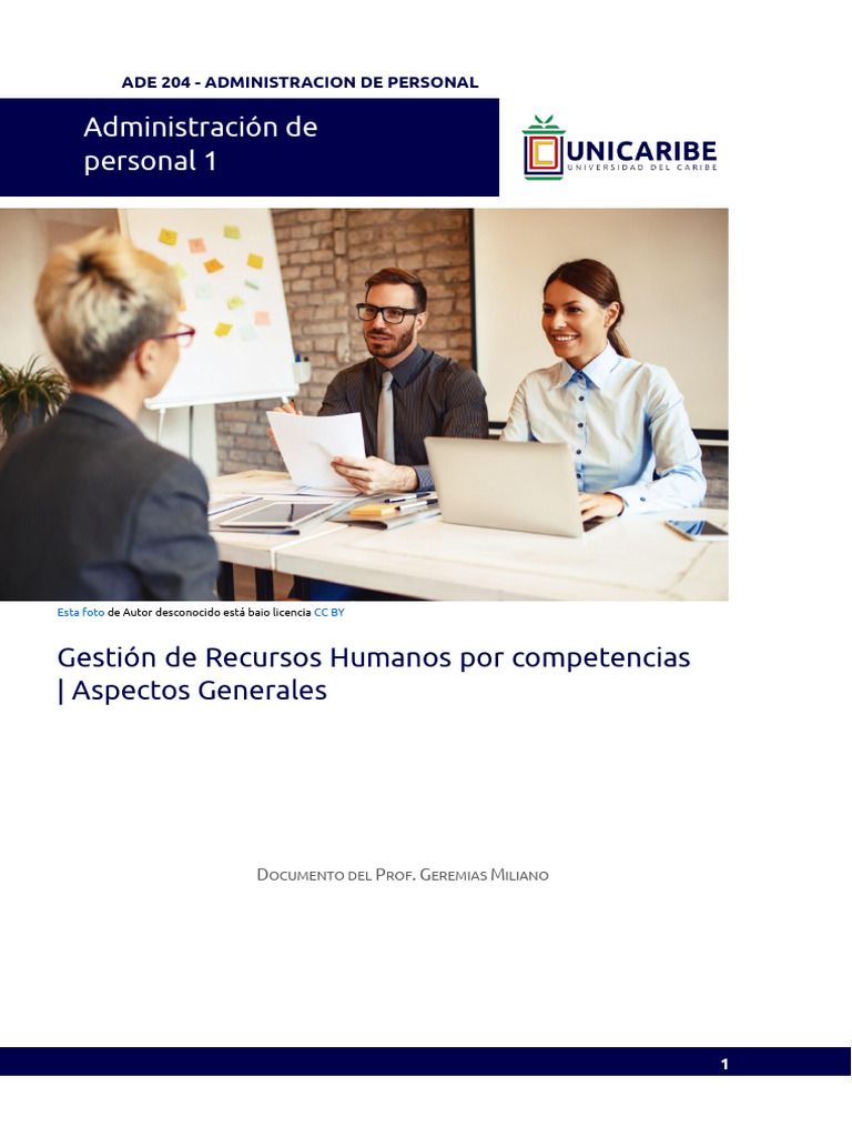 Gestión de Recursos Humanos Por Competencias - Aspectos Generales02 | PDF