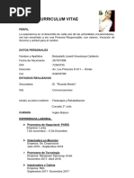 Curriculum Vitae Paola | PDF | Microsoft | Microsoft Office
