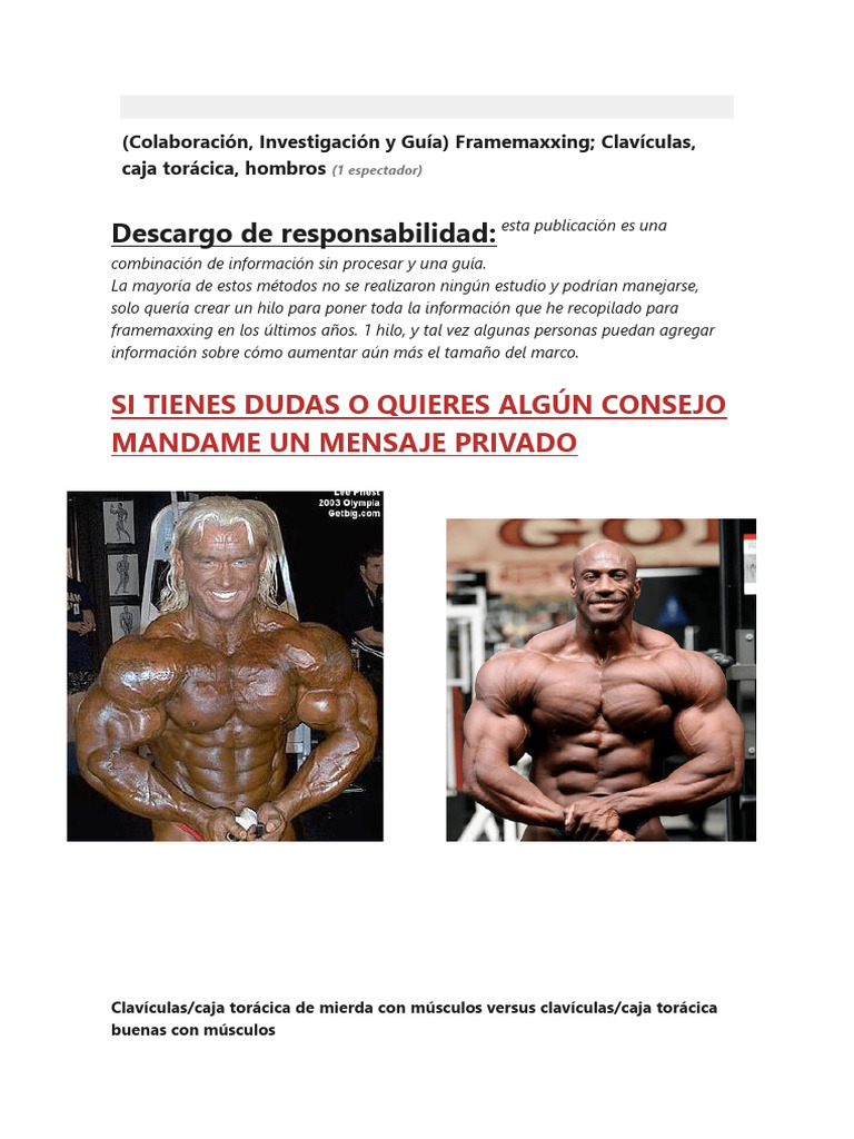 Frame Max Xing | PDF