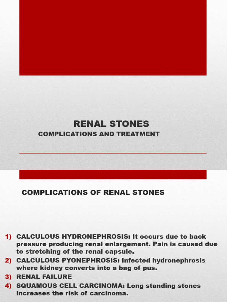 Renal Stones | PDF