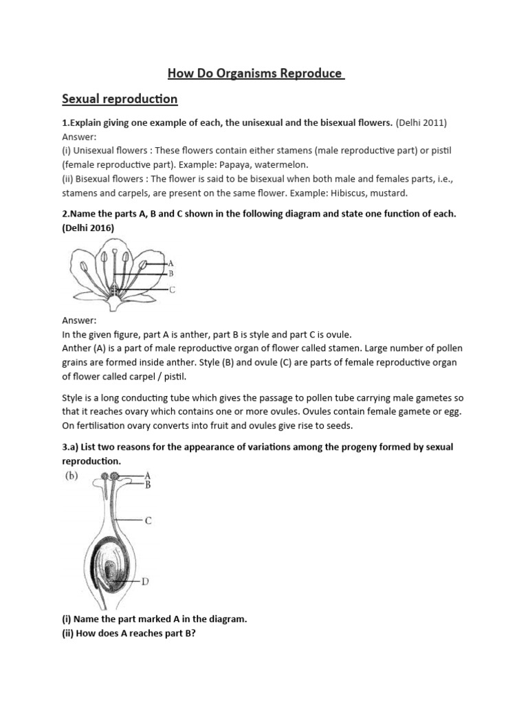 How Do Organisms Reproduce - SEXUAL REPRODUCTION Class 10 | PDF