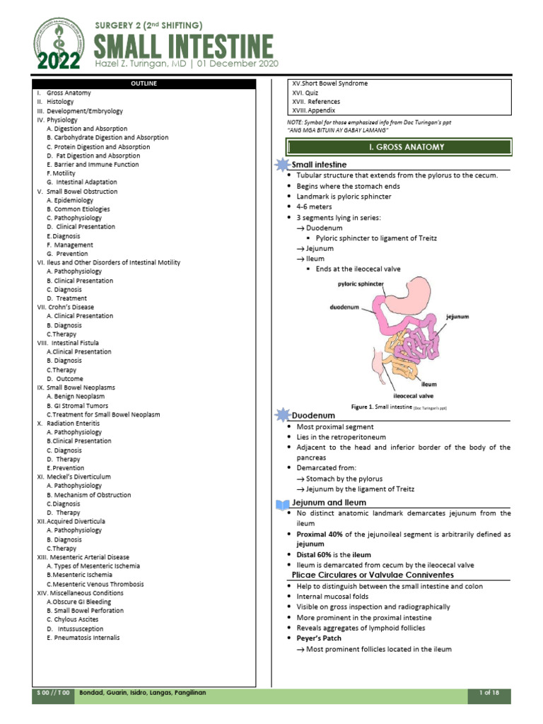 Small Intestine Pathophysiology | PDF | Crohn's Disease | Digestion