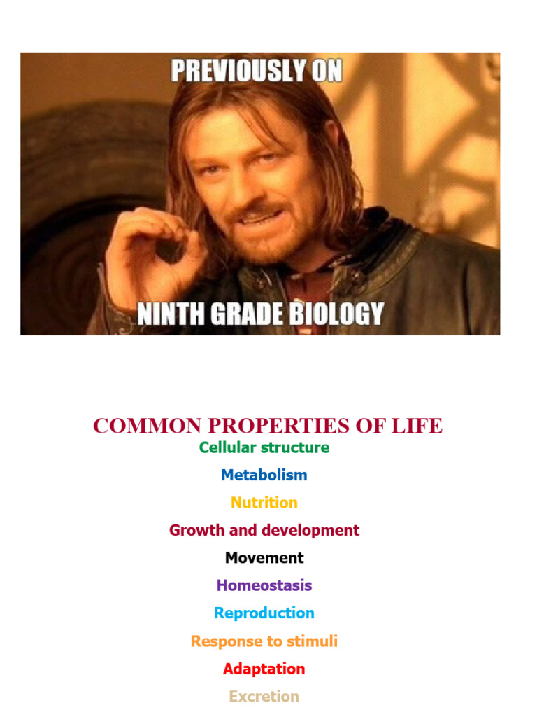 Inorganic Compounds PPT 23-24 | PDF | Water | Acid Inorganic Compounds PPT 23-24 | PDF | Water | Acid