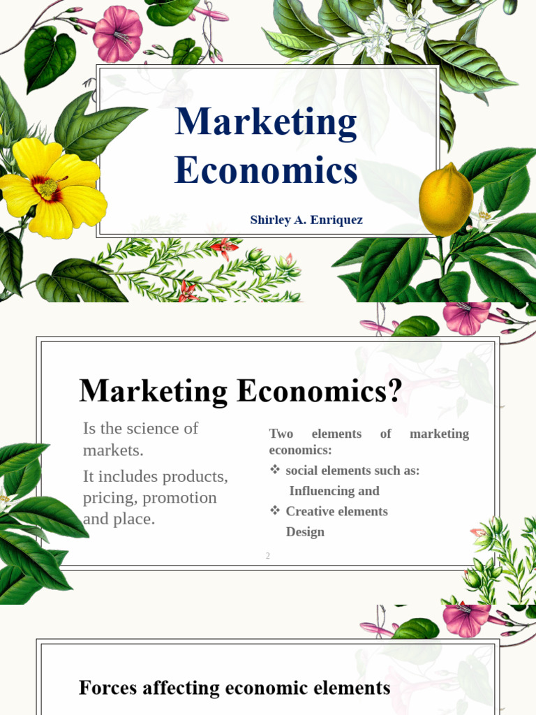 Marketing Economics: Key Principles Explained | PDF