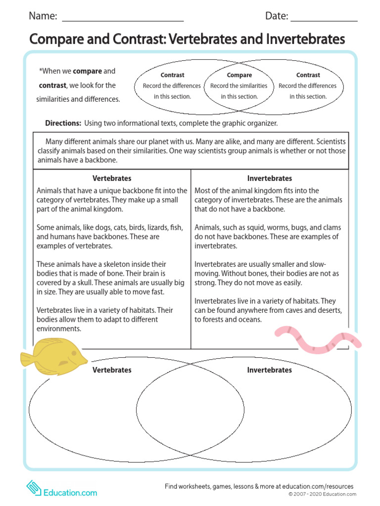 Compare and Contrast Vertebrates and Invertebrates | PDF | Invertebrate ...