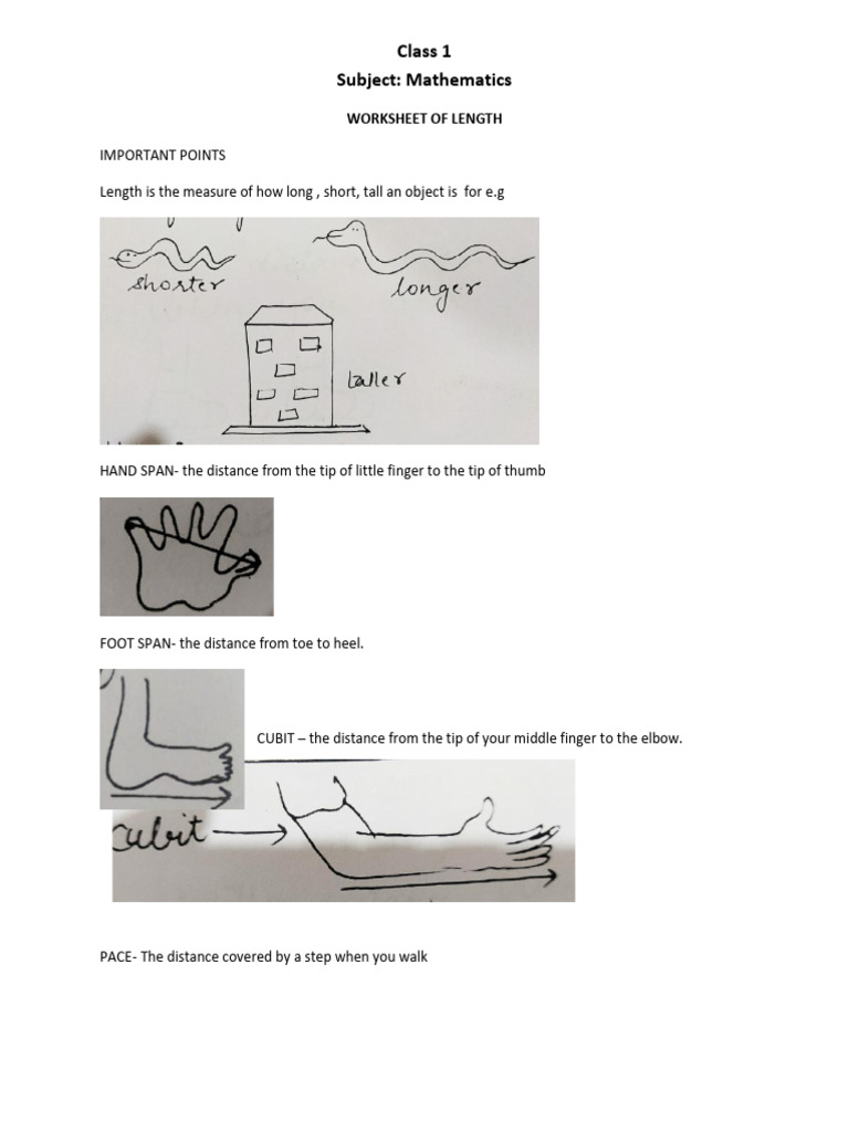 Class I - Maths Worksheet | PDF