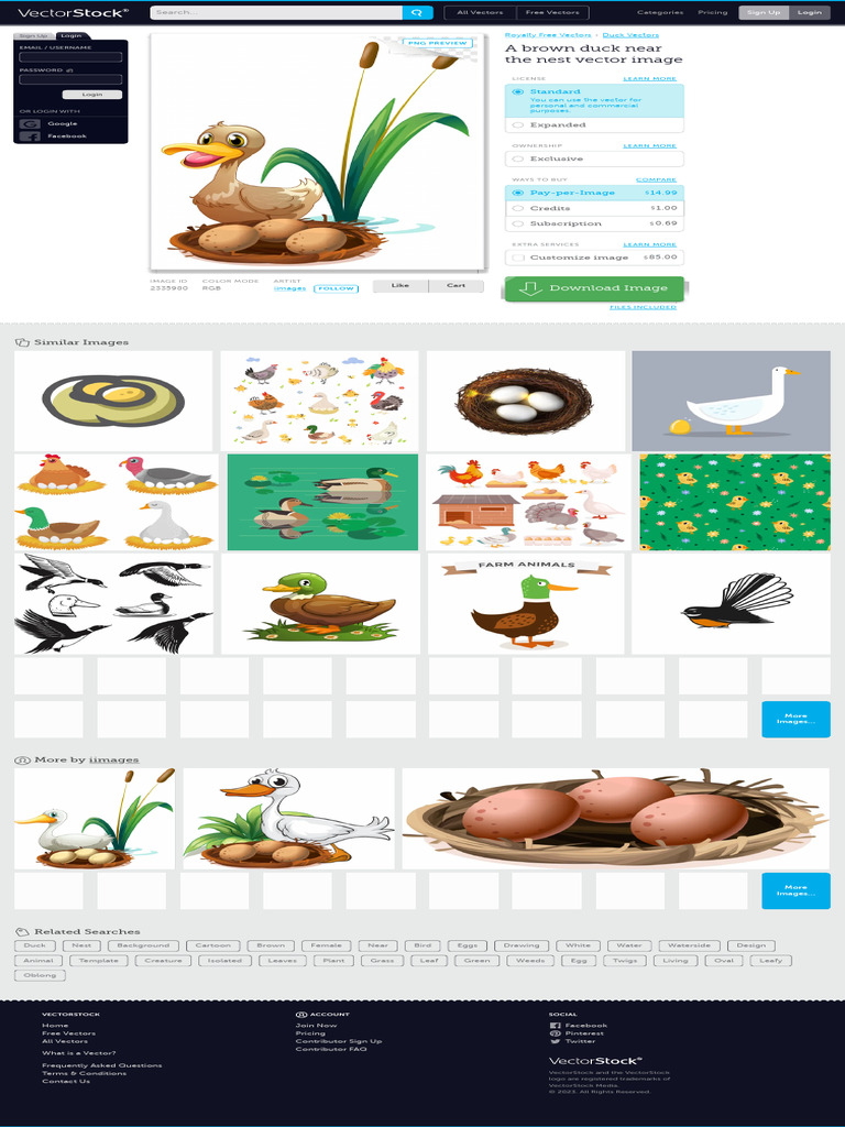 A Brown Duck Near The Nest | PDF | Computing
