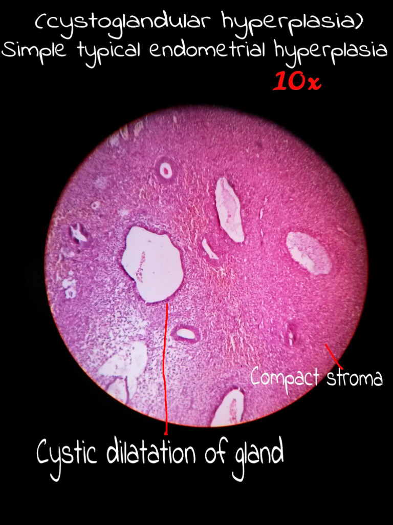 1.slides Pathology (1 - 41) | PDF