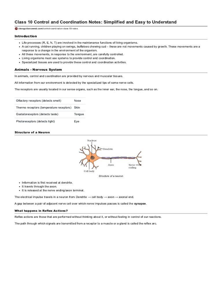 Control and Coordination Notes Final | PDF