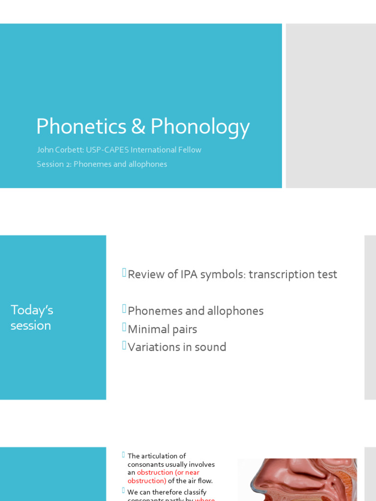 03 Phonemes and Allophones | PDF | Phoneme | Consonant