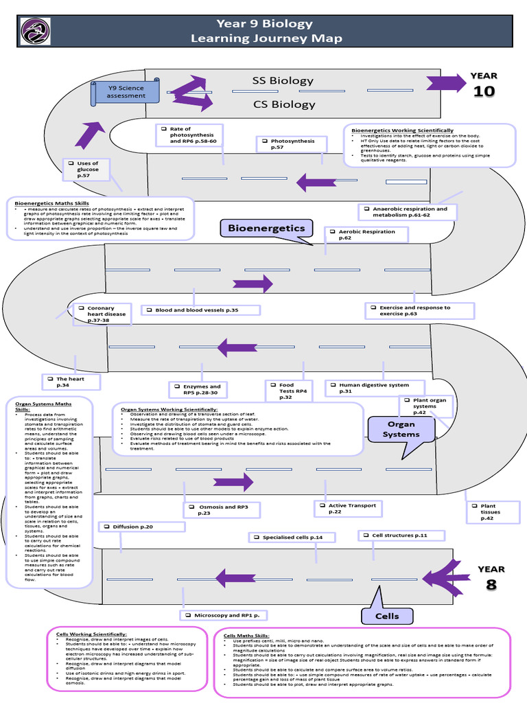 Biology Learning Journey Year 9 | PDF | Photosynthesis | Stoma