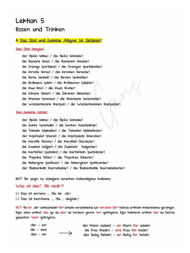 Lektion 5 - Essen Und Trinken | PDF