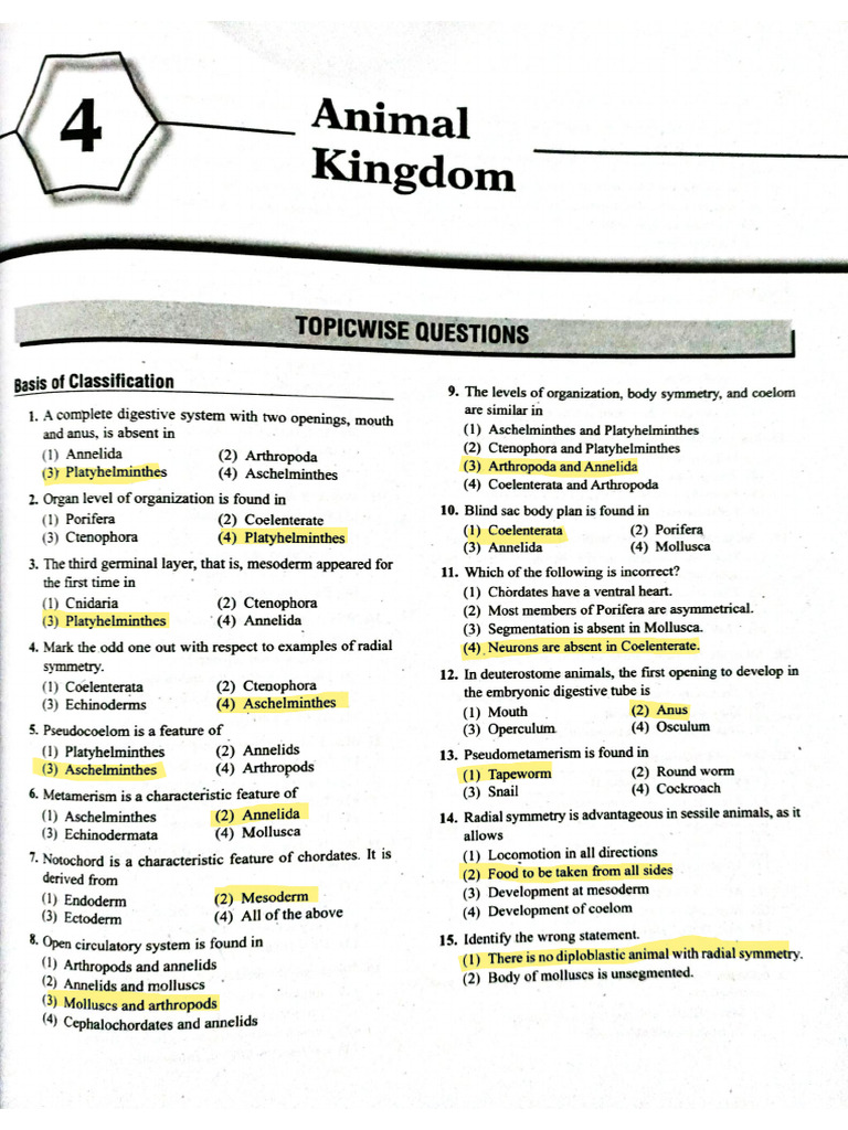 Animal Kingdom | PDF