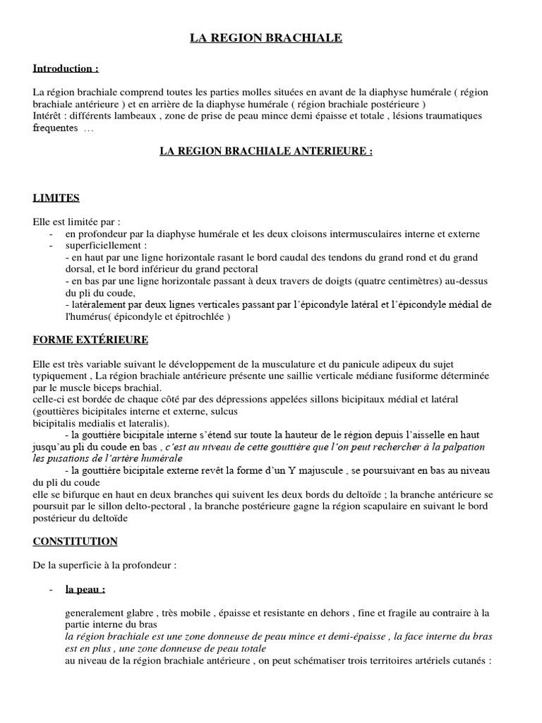 Anatomie de la région brachiale | PDF