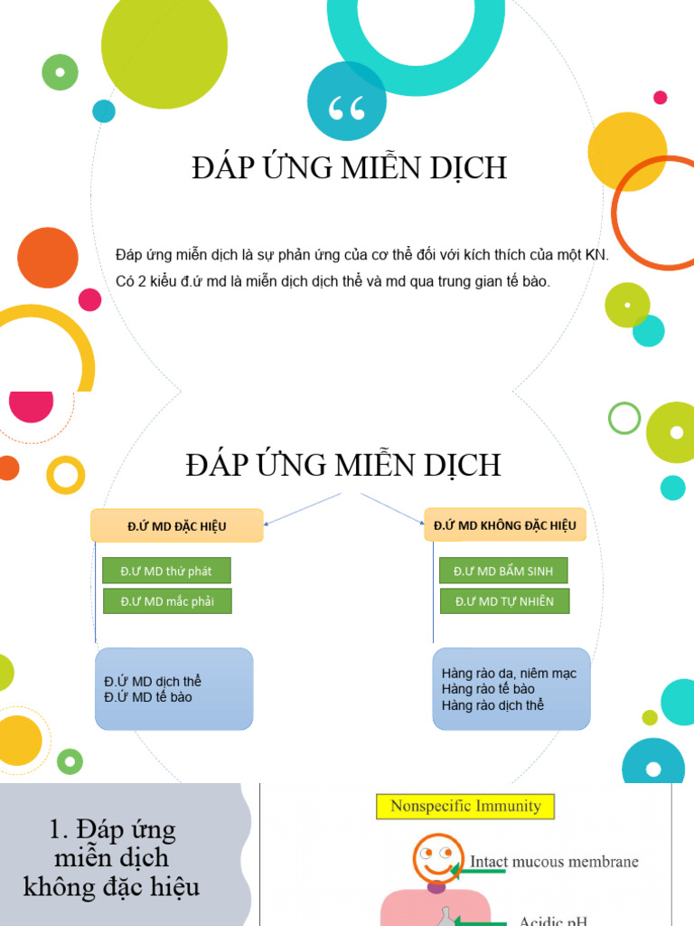 Dap Ung Mien Dich | PDF