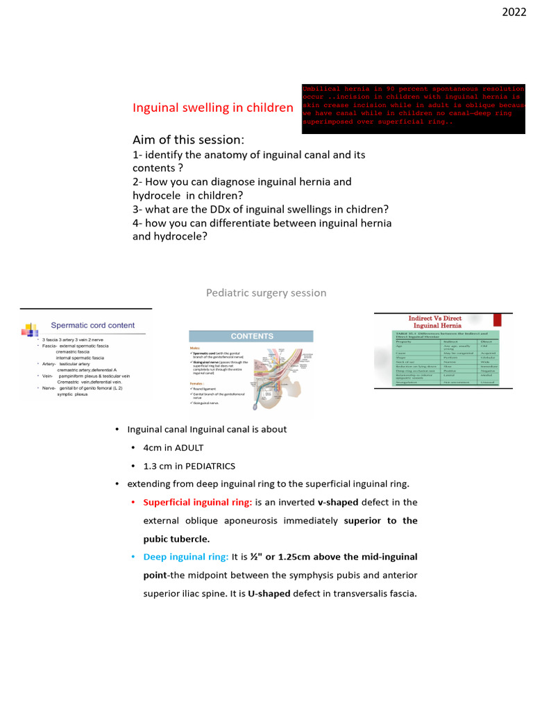 Inguinal Swelling | PDF