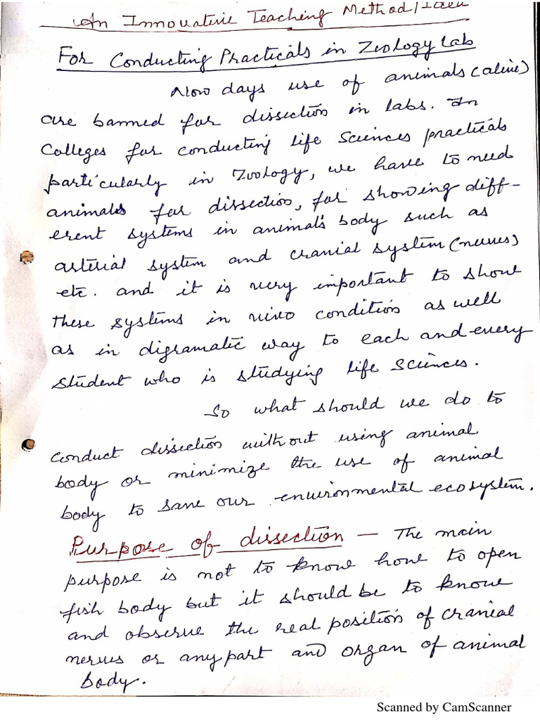 Vindya Vasini Stotra Pdf