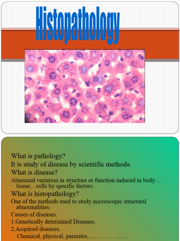 Intro & Preparation of Tissue | PDF | Wellness