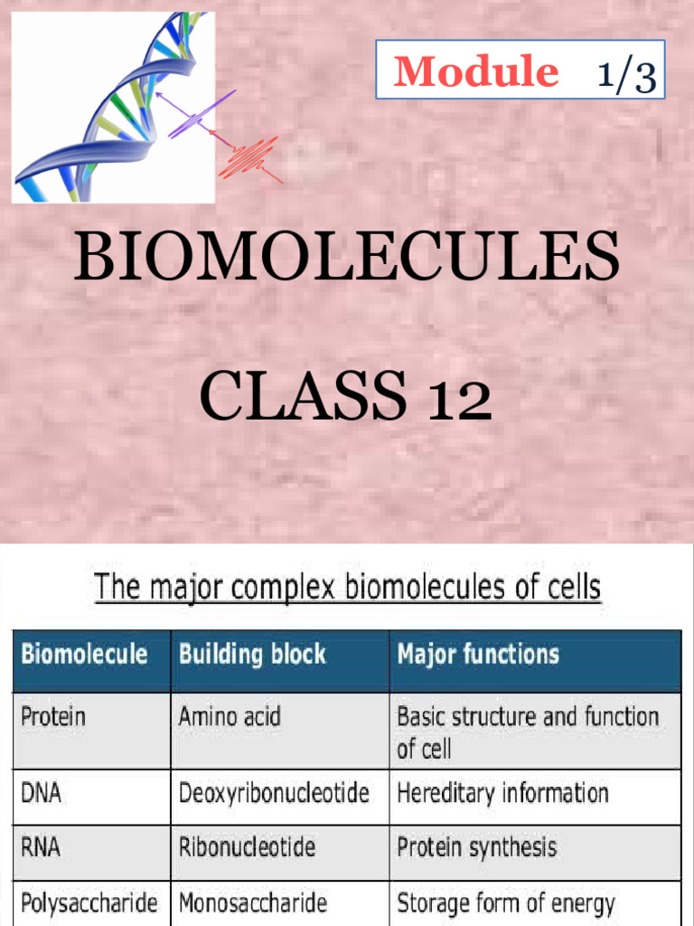 Biomolecules | PDF