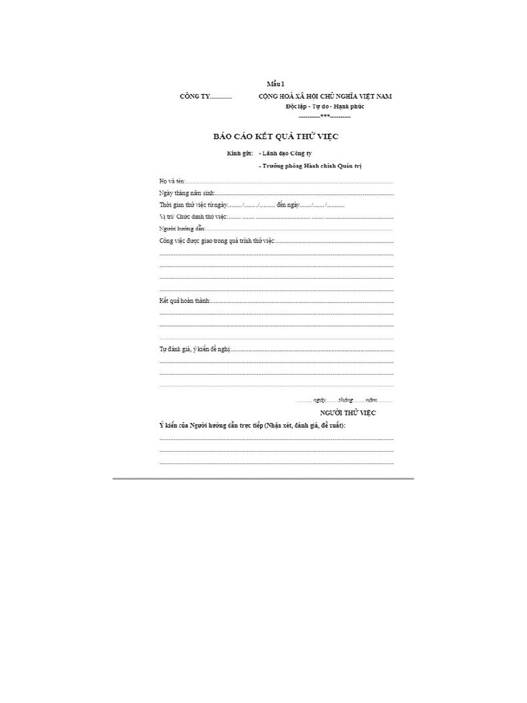 Mau Bao Cao Ket Qua Thu Viec | PDF