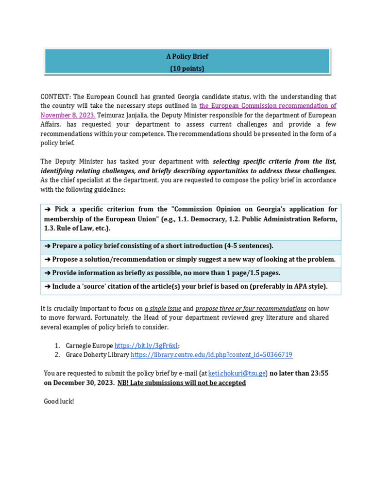 Georgia's EU Candidate Status Policy Brief | PDF | Career & Growth