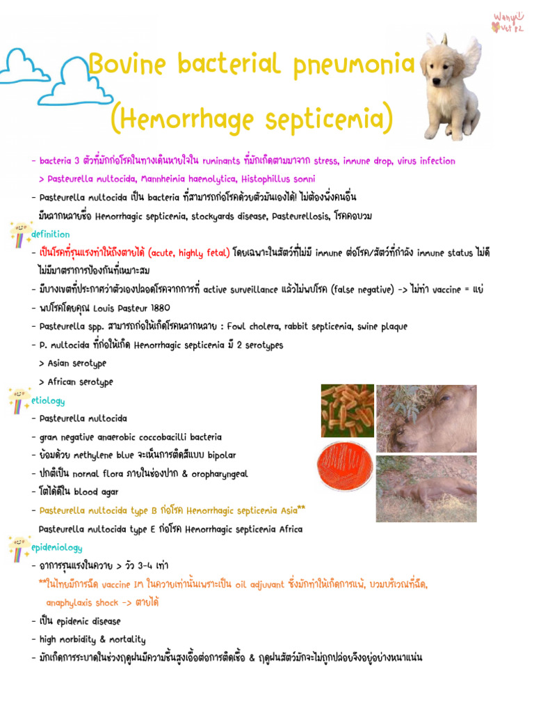 6-Hemorrhagic Septicemia ? | PDF