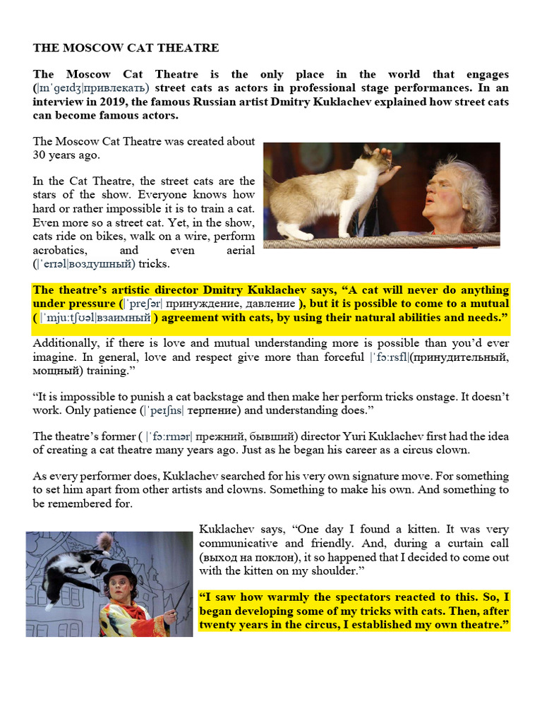 The Moscow Cat Theatre | PDF | Art