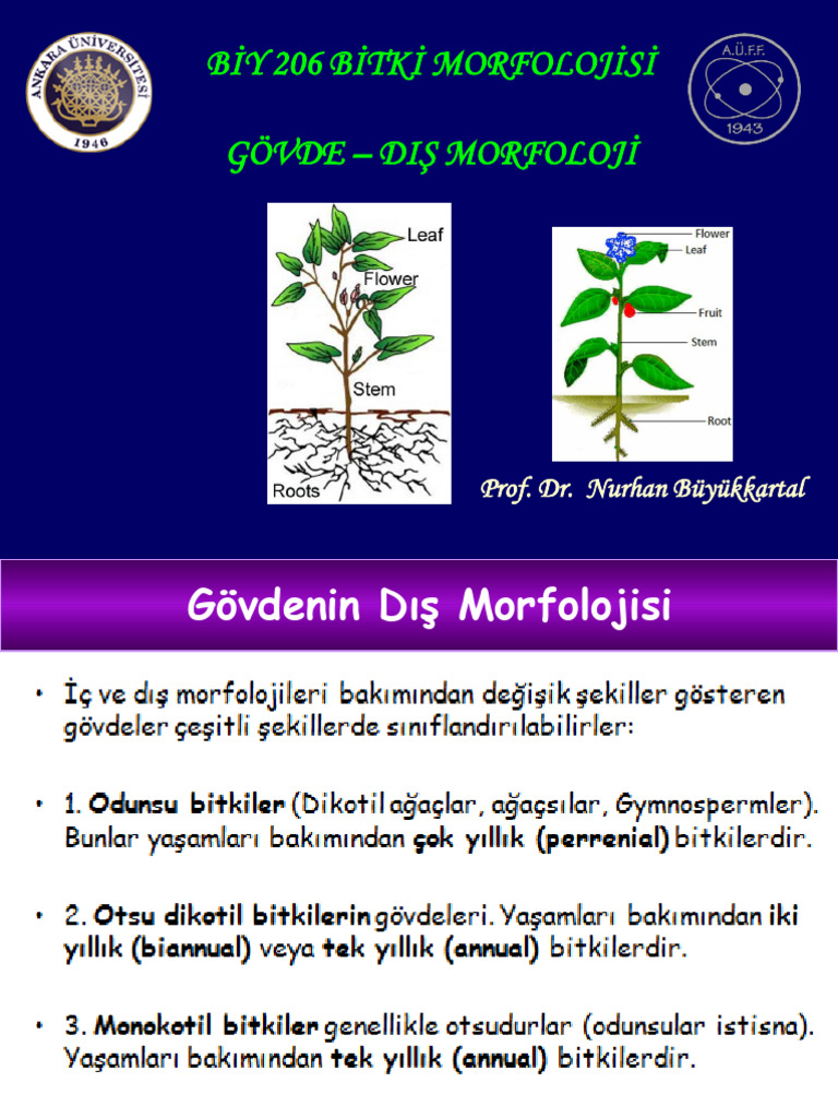 Bi̇y 206 5. Ders | PDF