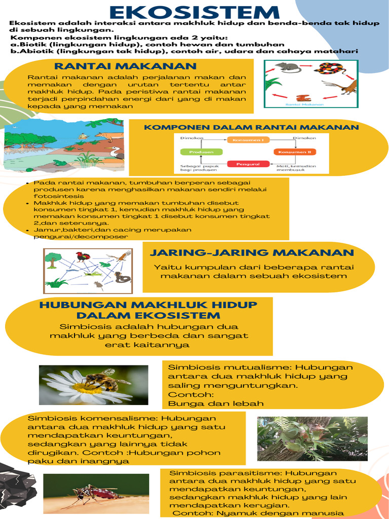 Ekosistem Dan Hubungan Makhluk Hidup Pdf