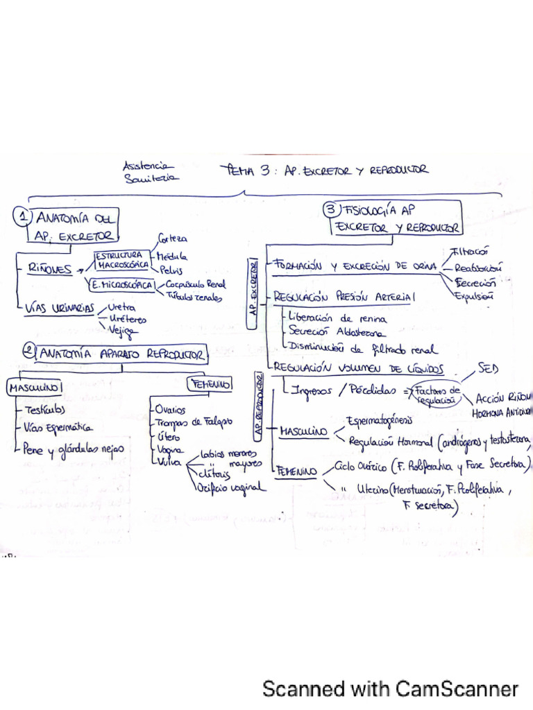 Esquema Tema 3 | PDF