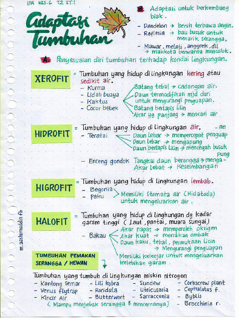 Jawaban Tema 2 Halaman 19 - 21 | PDF