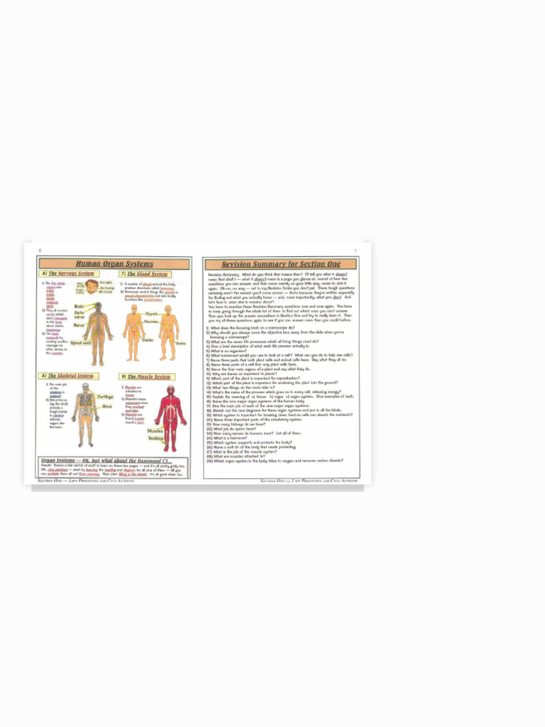 Google Slides Sign-In | PDF