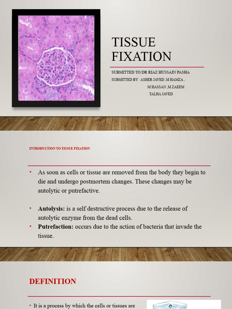 Slides Dé Tissue Fixation | PDF | Science & Mathematics
