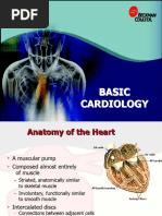 Cardiology Abbreviations Alphabetical | PDF | Heart | Cardiology