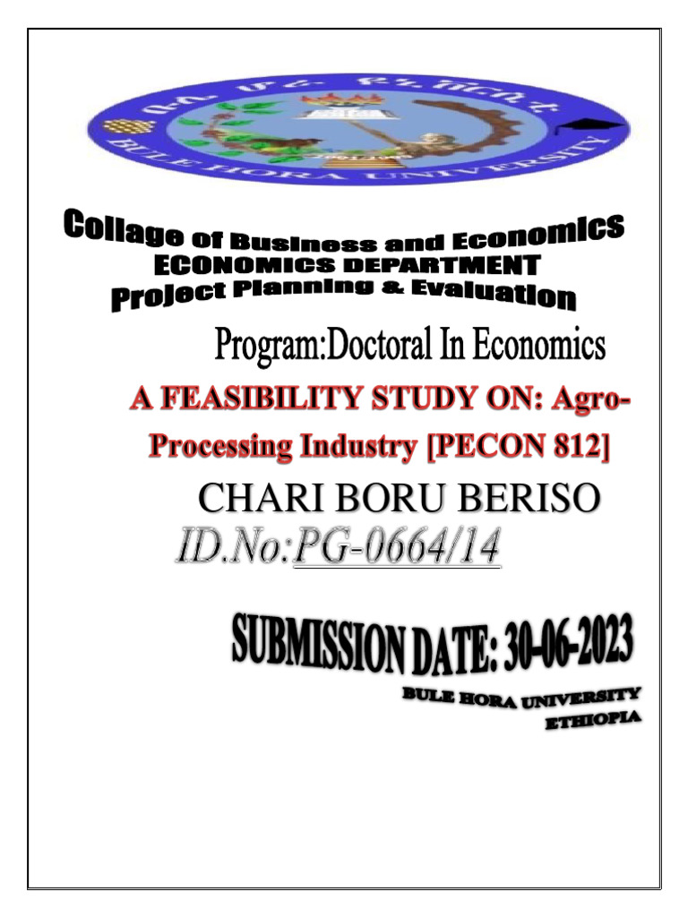 Chari Boru's Pecon812-Feasibility Study - 29!06!20231 | PDF | Business ...