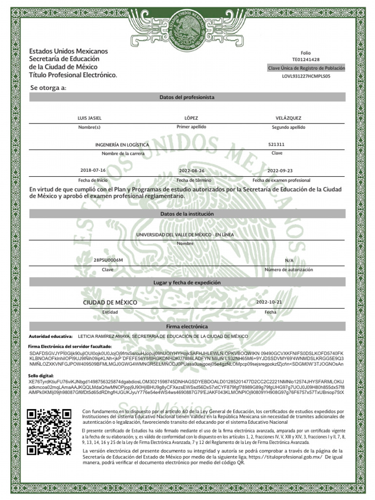 Titulo Electronico | PDF