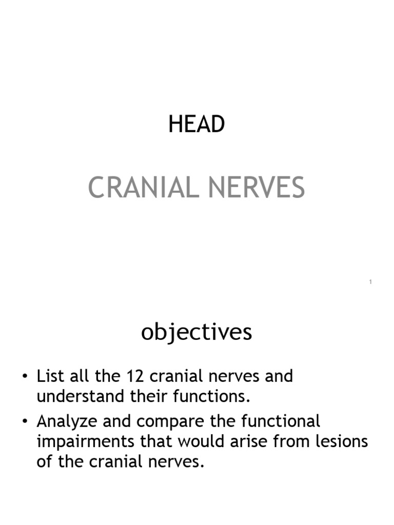Head, Cranial Nerves Part 1 | PDF | Human Head And Neck | Human Anatomy