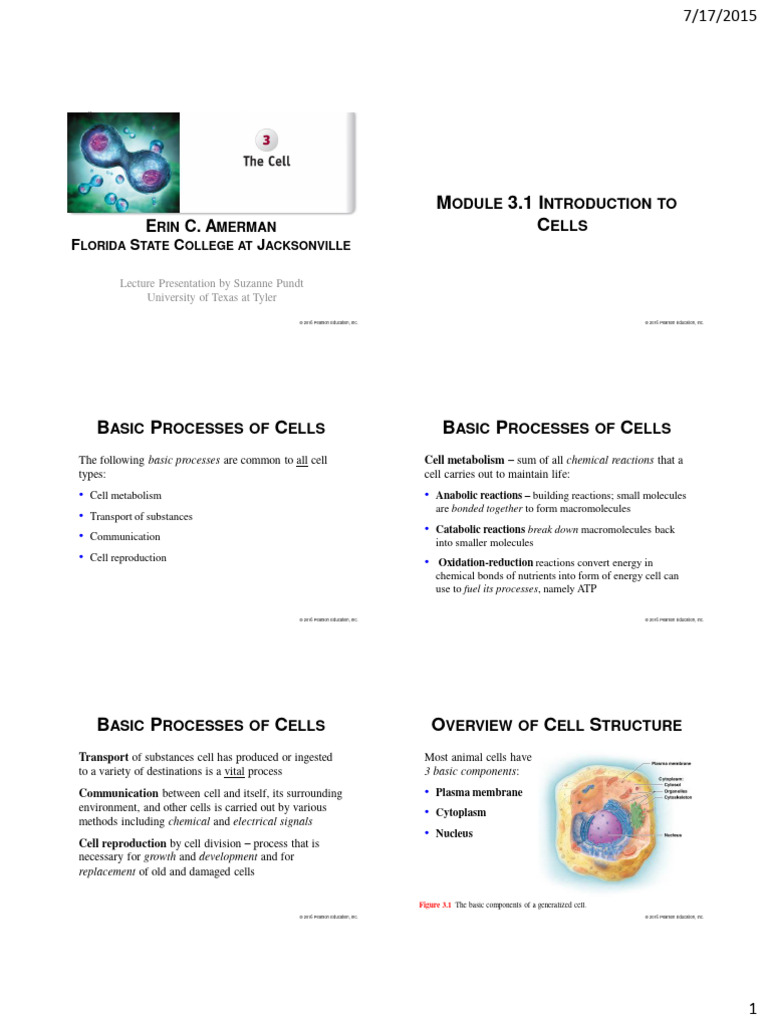 Chapter 3 PowerPoint Slides PDF | PDF | Cell Membrane | Osmosis
