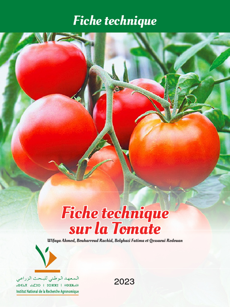 Tomate | PDF | Tomate | Serre