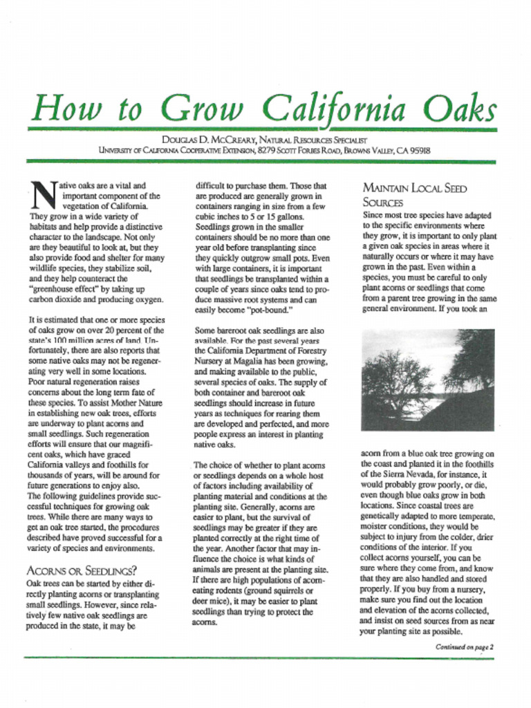 How To Grow California Oaks | PDF