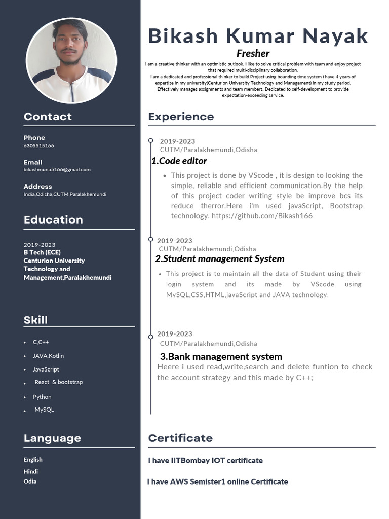 Bikash Cv Pdf Java Script Cyberspace