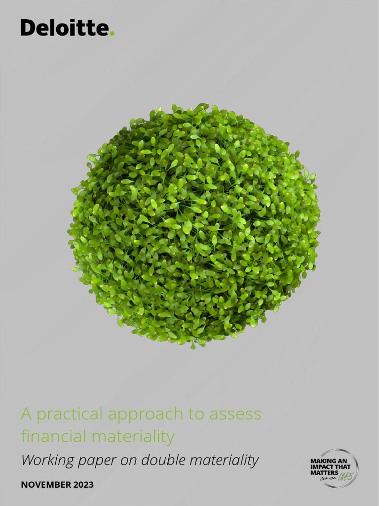 Understanding R&O in Financial Materiality | PDF | Risk | Risk Management