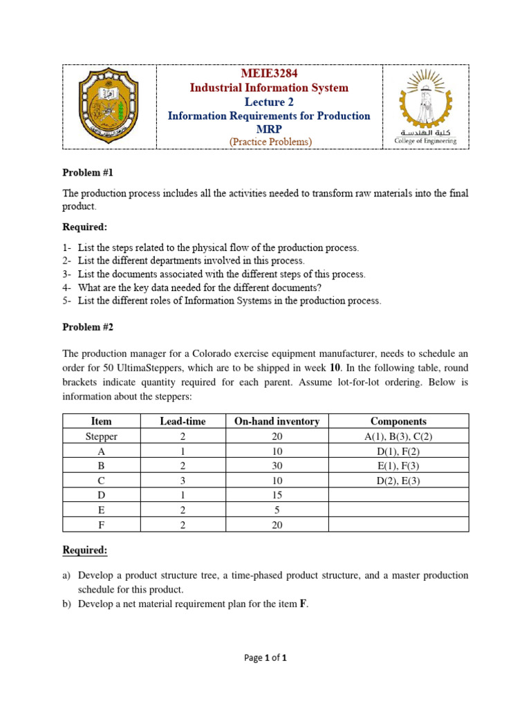 Information Requirements for MRP | PDF