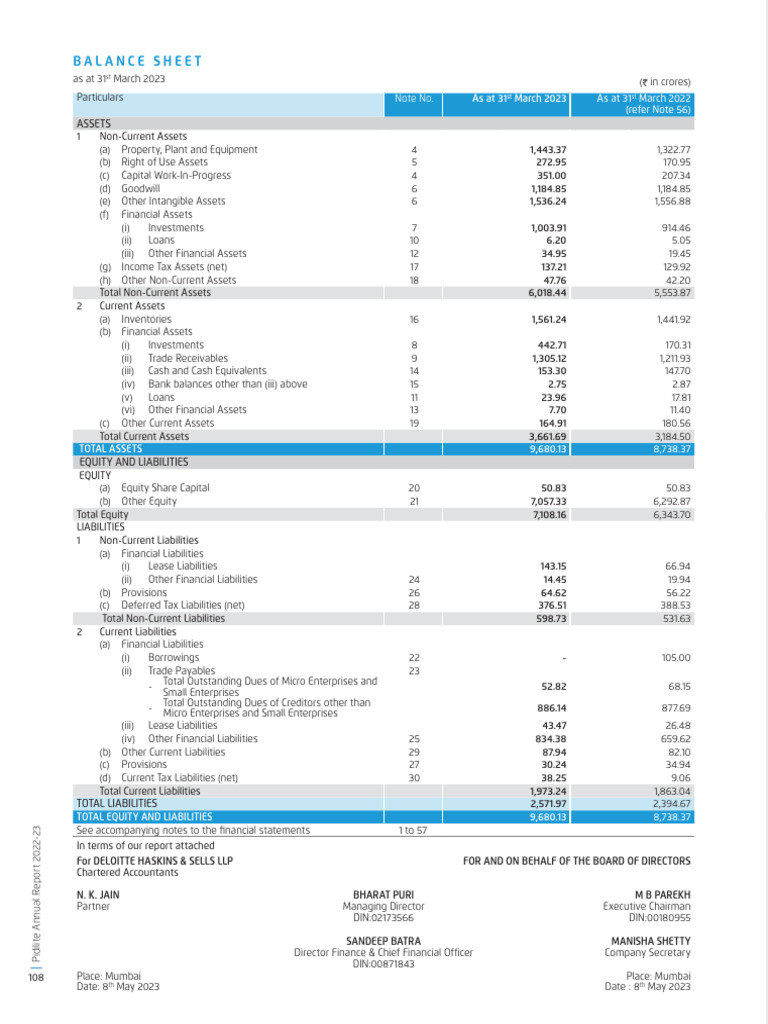 BalanceSheet PL | PDF | Expense | Equity (Finance)