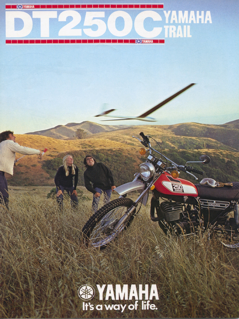 DT 250 C 1976 Brochure | PDF