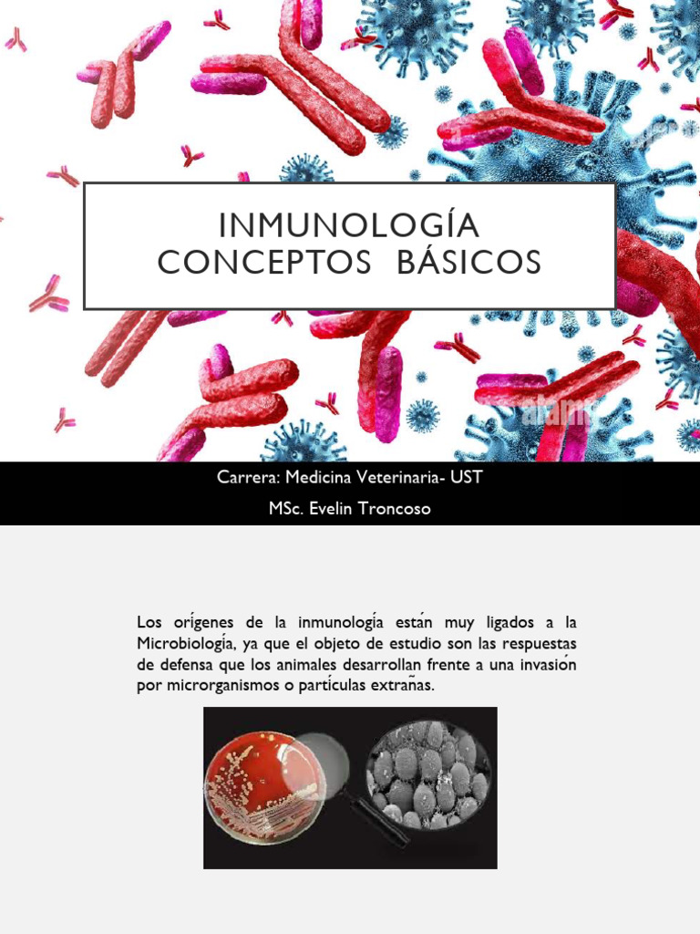 Clase 1 - Inmuno 2023 | PDF | Sistema inmune | Sistema inmune innato