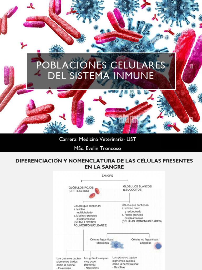 Clase 3 - Inmuno 2023 | PDF