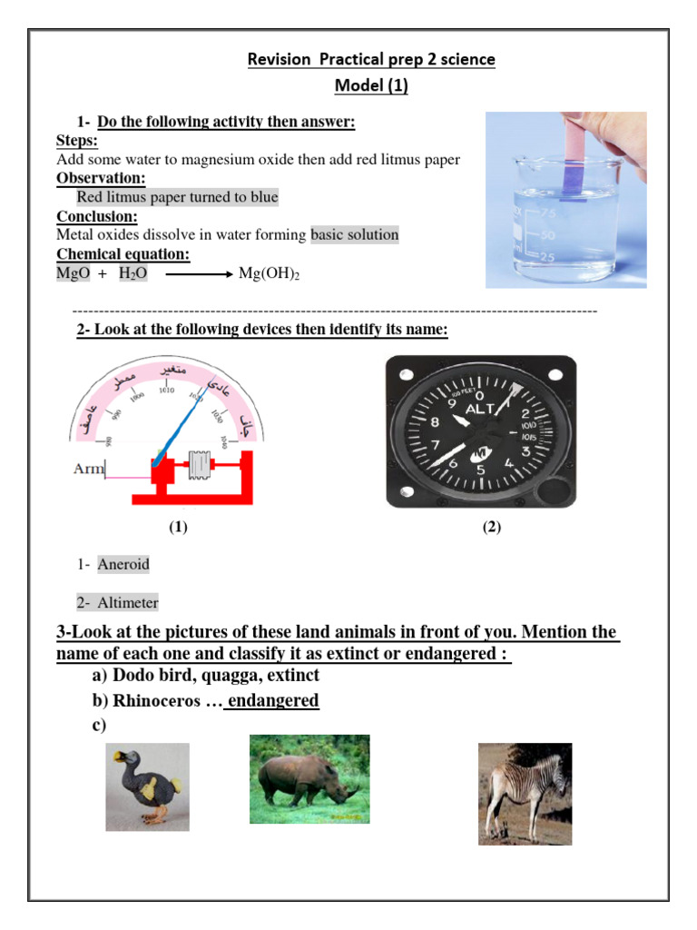 Practical Prep 2 T1 Revision 2024 | PDF | Magnesium | Atmosphere Of Earth