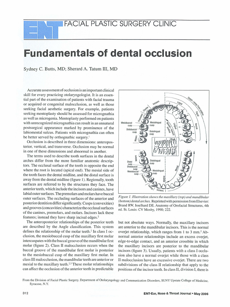 Understanding Dental Occlusion Basics | PDF