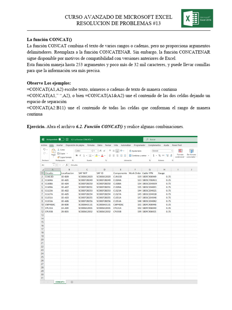 Practica 13 - La Funcion CONCAT y COINCIDIR | PDF | Microsoft Excel ...